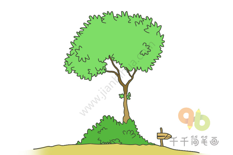 绿树简笔画步骤图_树