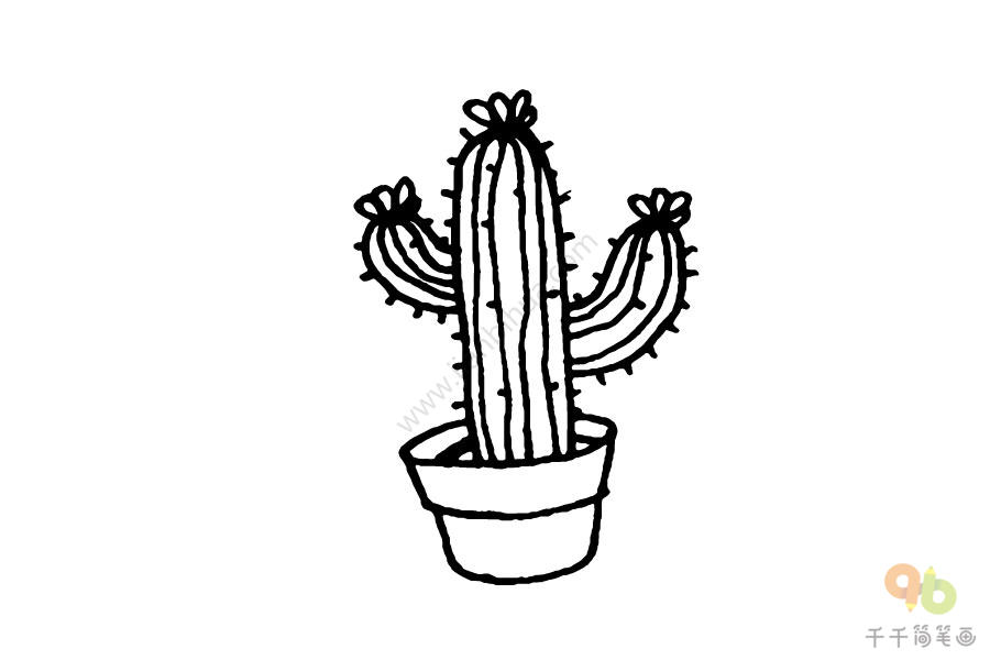 开花的仙人掌简笔画画法图片_仙人掌简笔画