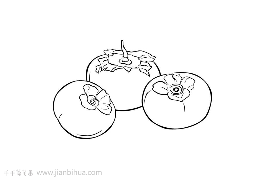 柿子简笔画画法水果